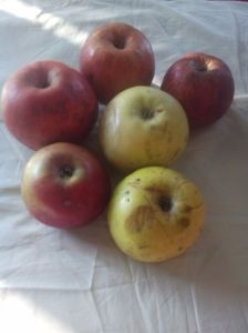 SOIURI DE MERE TRADITIONALE DE IARNA - Dani91cluj